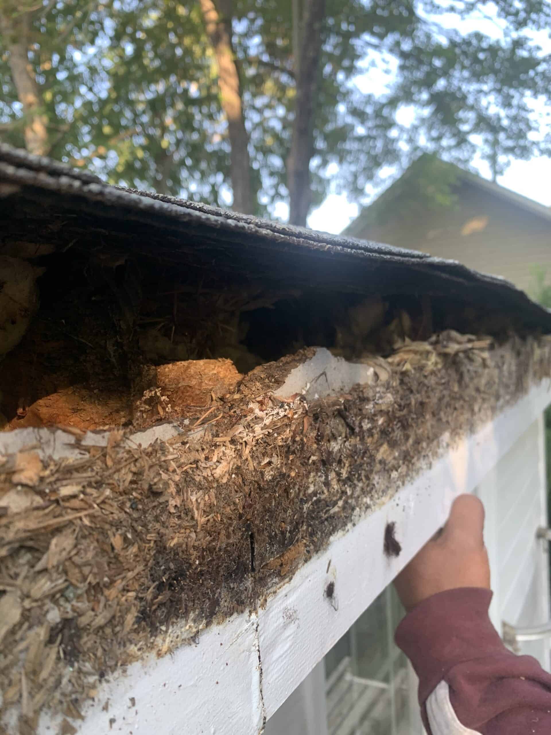 Home - Davila Construction